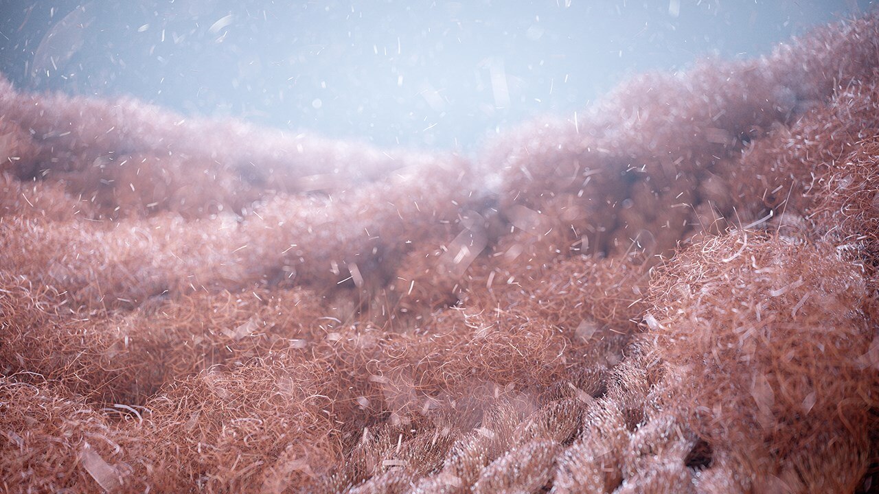 Electrolux microplastic filters to protect the planet | Electrolux Malaysia